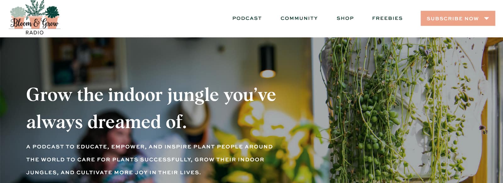 The Ultimate Guide to Designing with CTA Buttons - Digital Grace Design